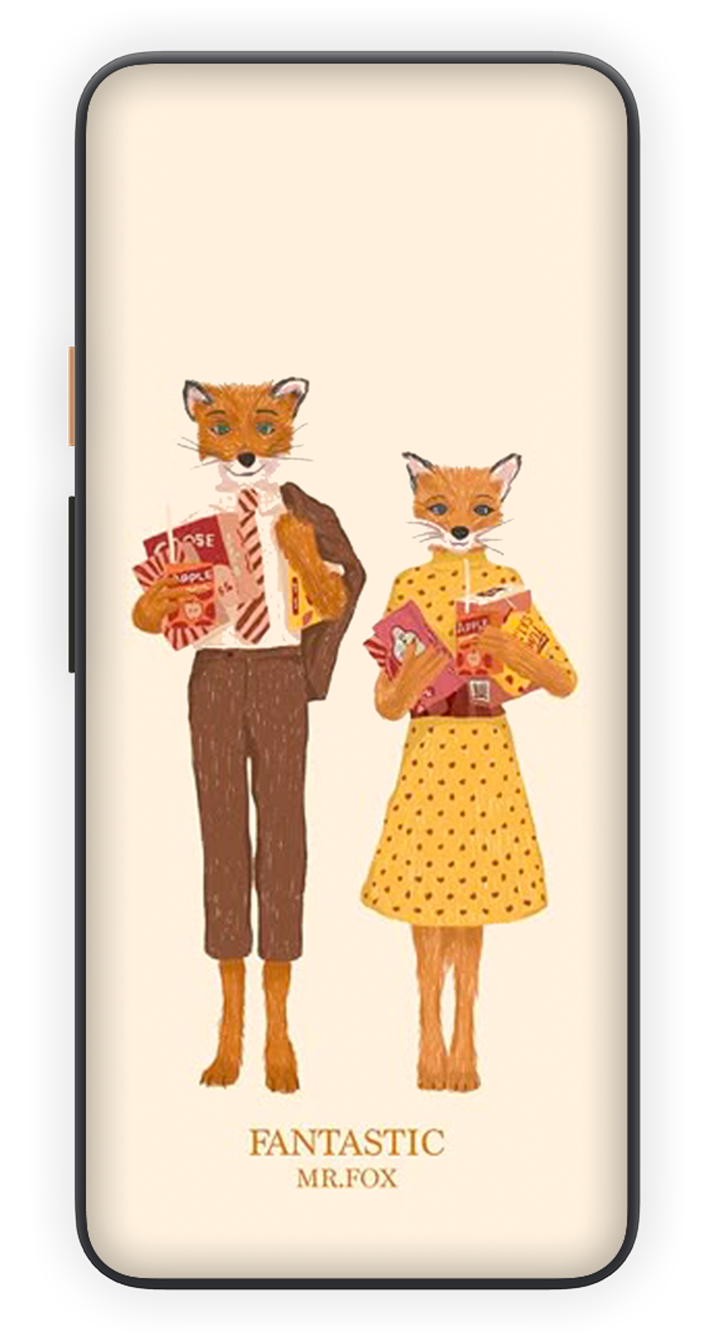 FANTASTIC MR FOX - DVR
