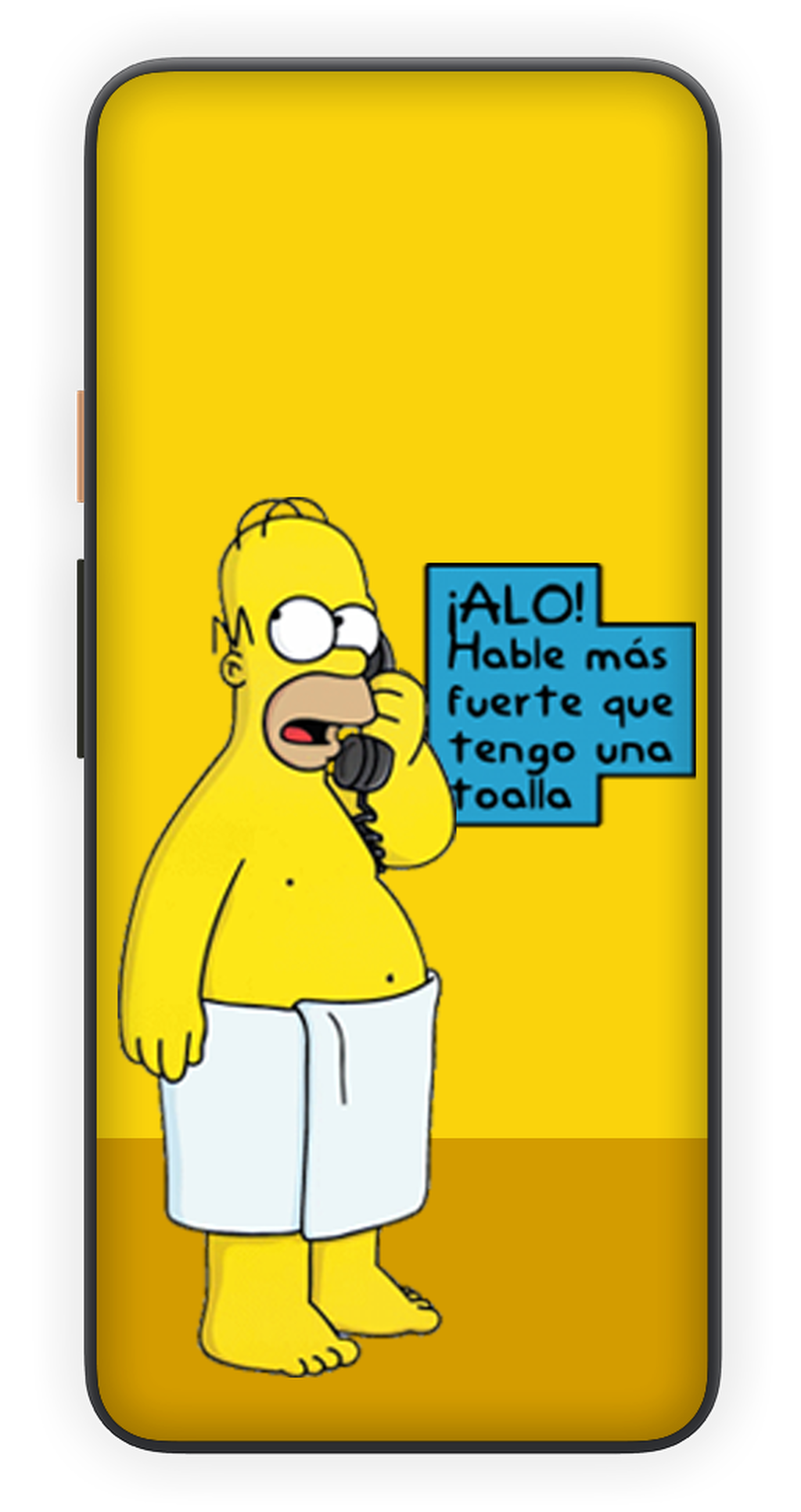 HOMERO TOALLA - DVR