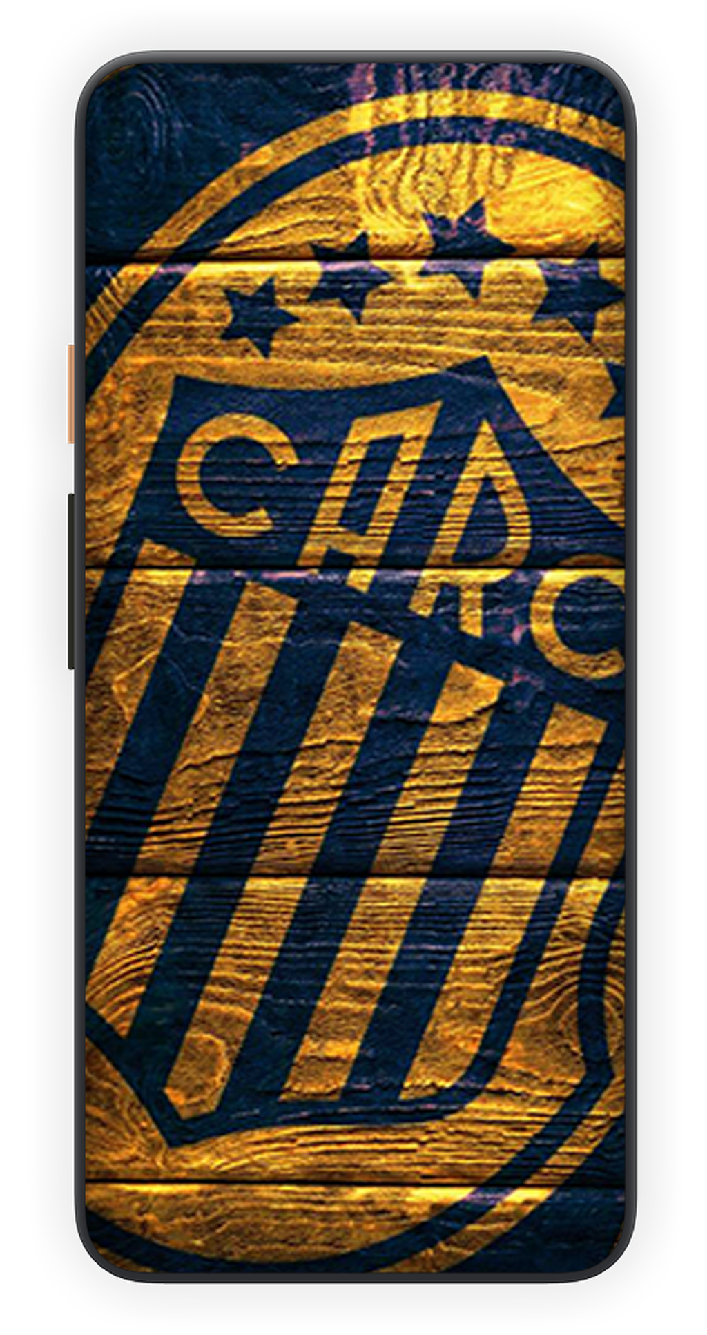 CARC MADERA - DVR