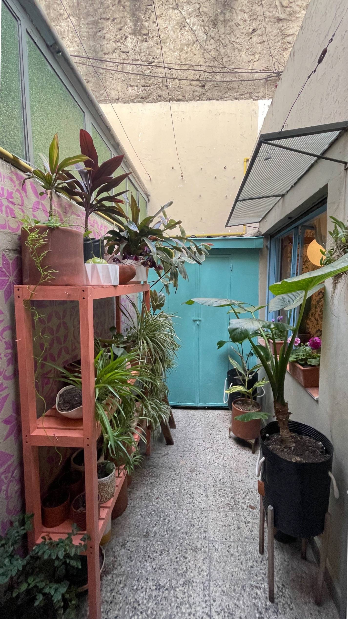 PATIO PH - Magia Decolab